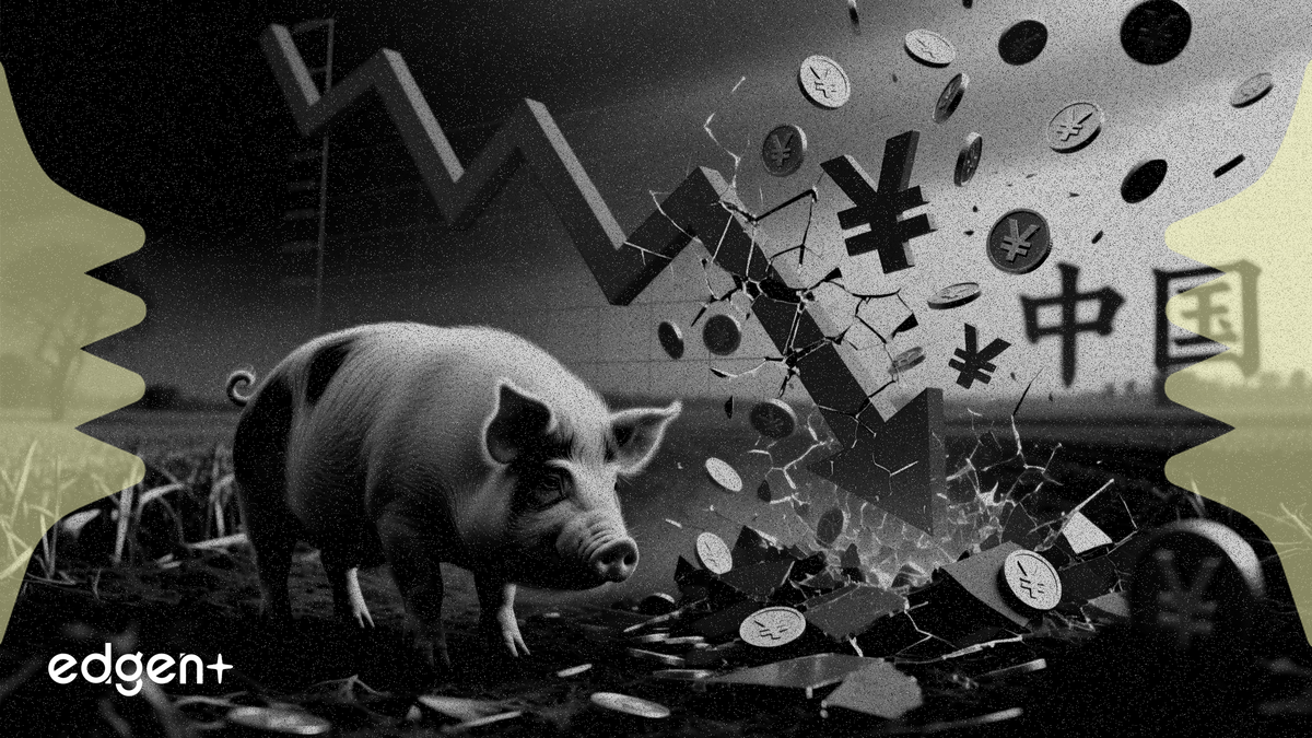 China's hog prices fall below 9 yuan as sow herd reduction accelerates