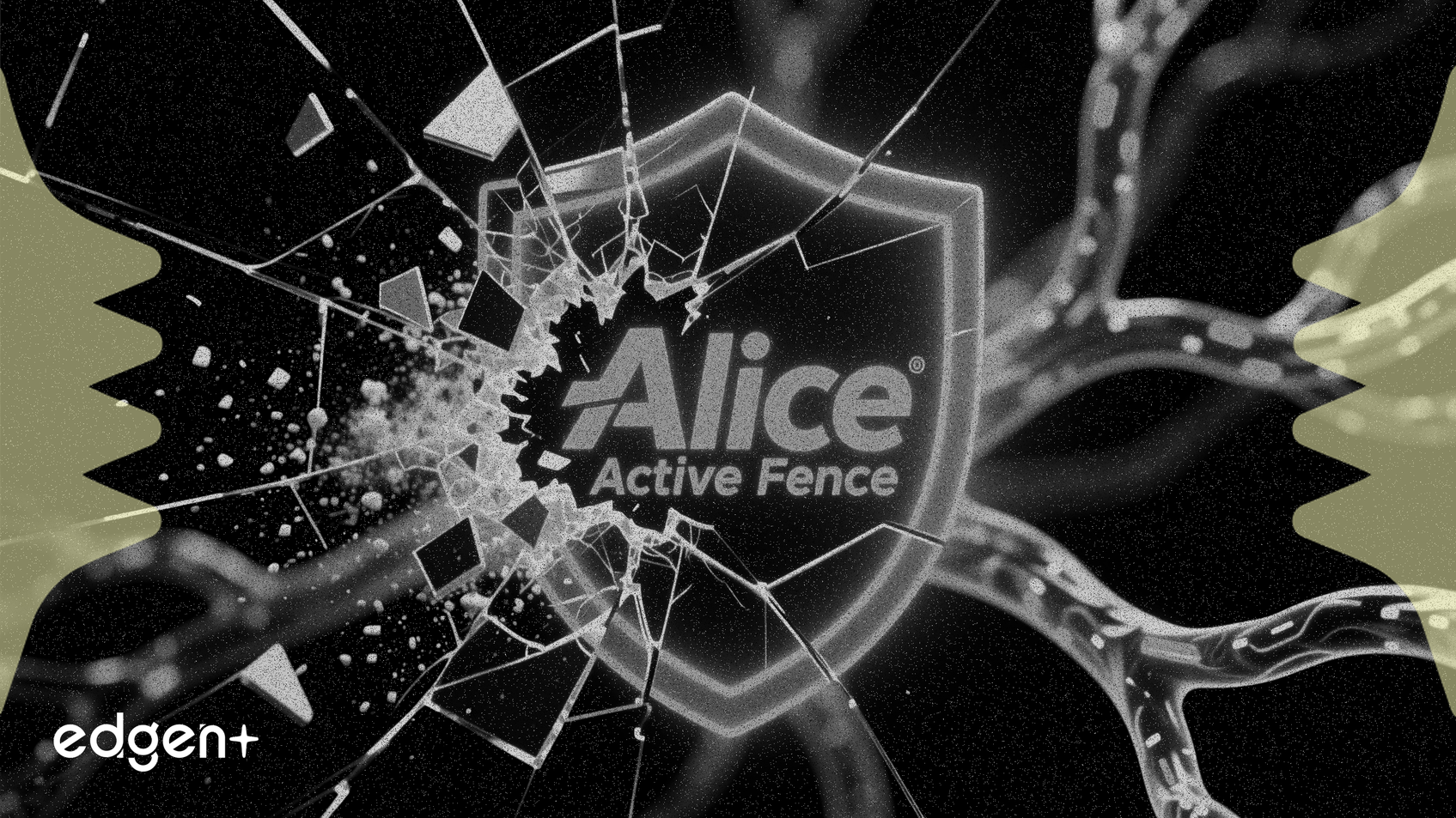 ActiveFenceがAliceにブランド変更、AIセキュリティ市場へ軸足移動