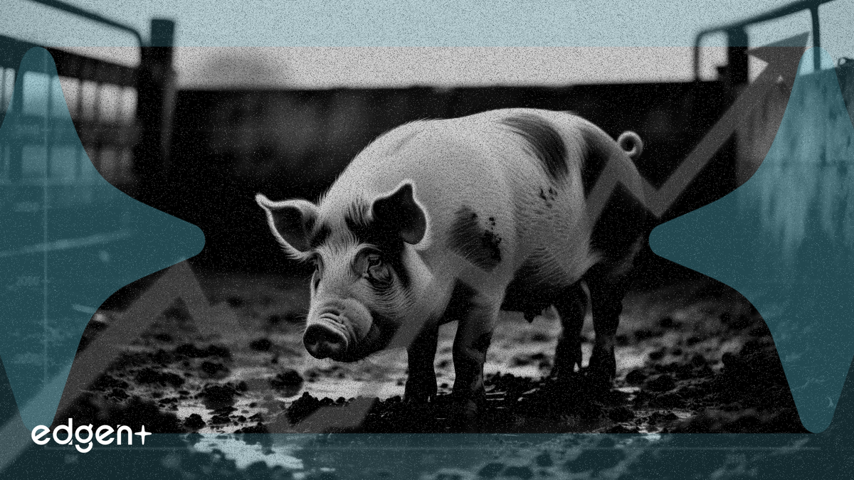 Muyuan Foods' Profit Drops 13.4% as Hog Prices Hit Six-Year Low